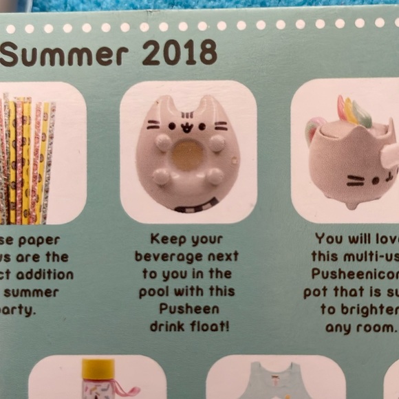 Pusheen | Dining | Pusheen Inflatable Beverage Float | Poshmark